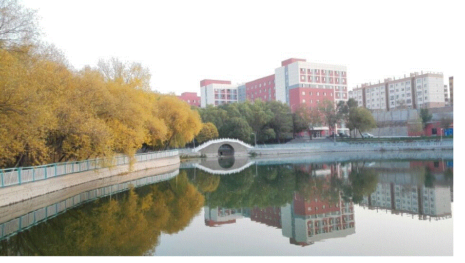 Xinjiang University (新疆大学) - MandarinAi Learn Chinese中文学习网